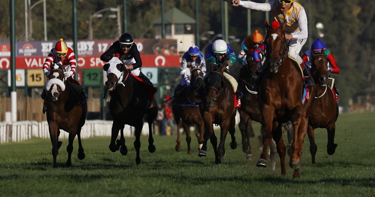 Kay Army conquistó la Triple Corona Nacional tras ganar el Derby 2024